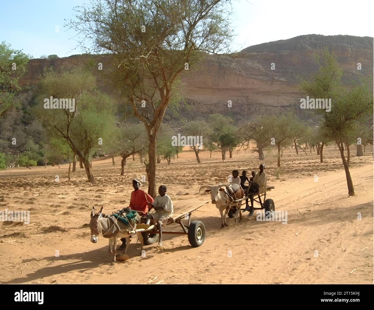 Along the Bandiagara escarpment Stock Photo - Alamy