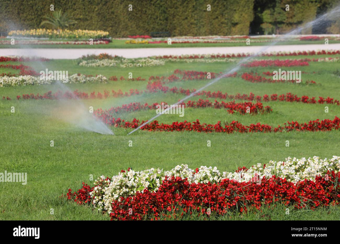 flowery garden with many varieties of blooming flowers in the villa and ...