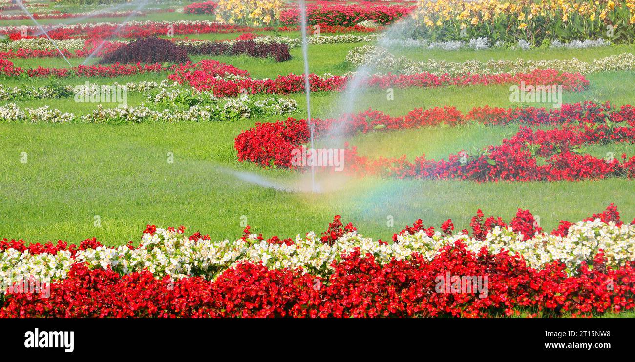 automatic irrigation system for flower gardens well looked after by the ...