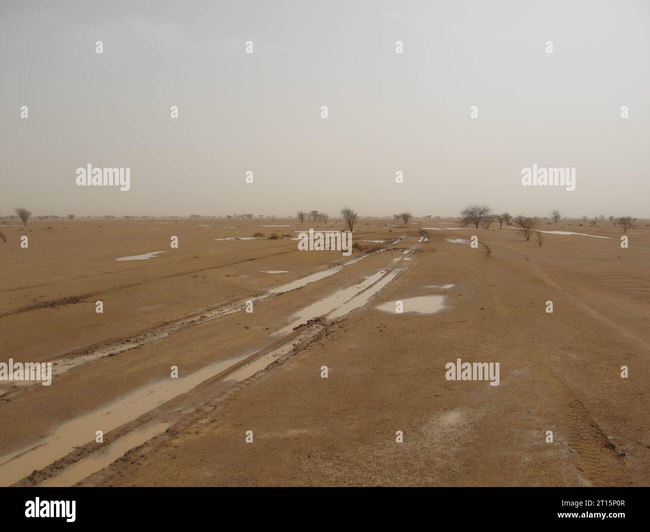 Wet sahara hi-res stock photography and images - Alamy