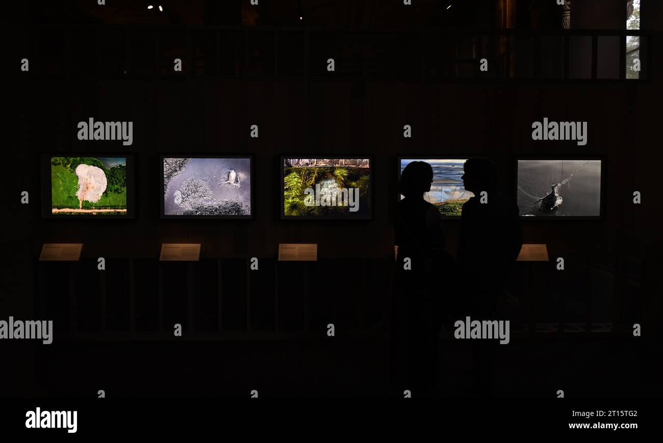 See the world through a new lens Explore the planet’s habitats, from ...