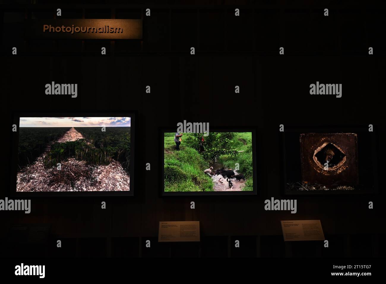 See the world through a new lens Explore the planet’s habitats, from ...