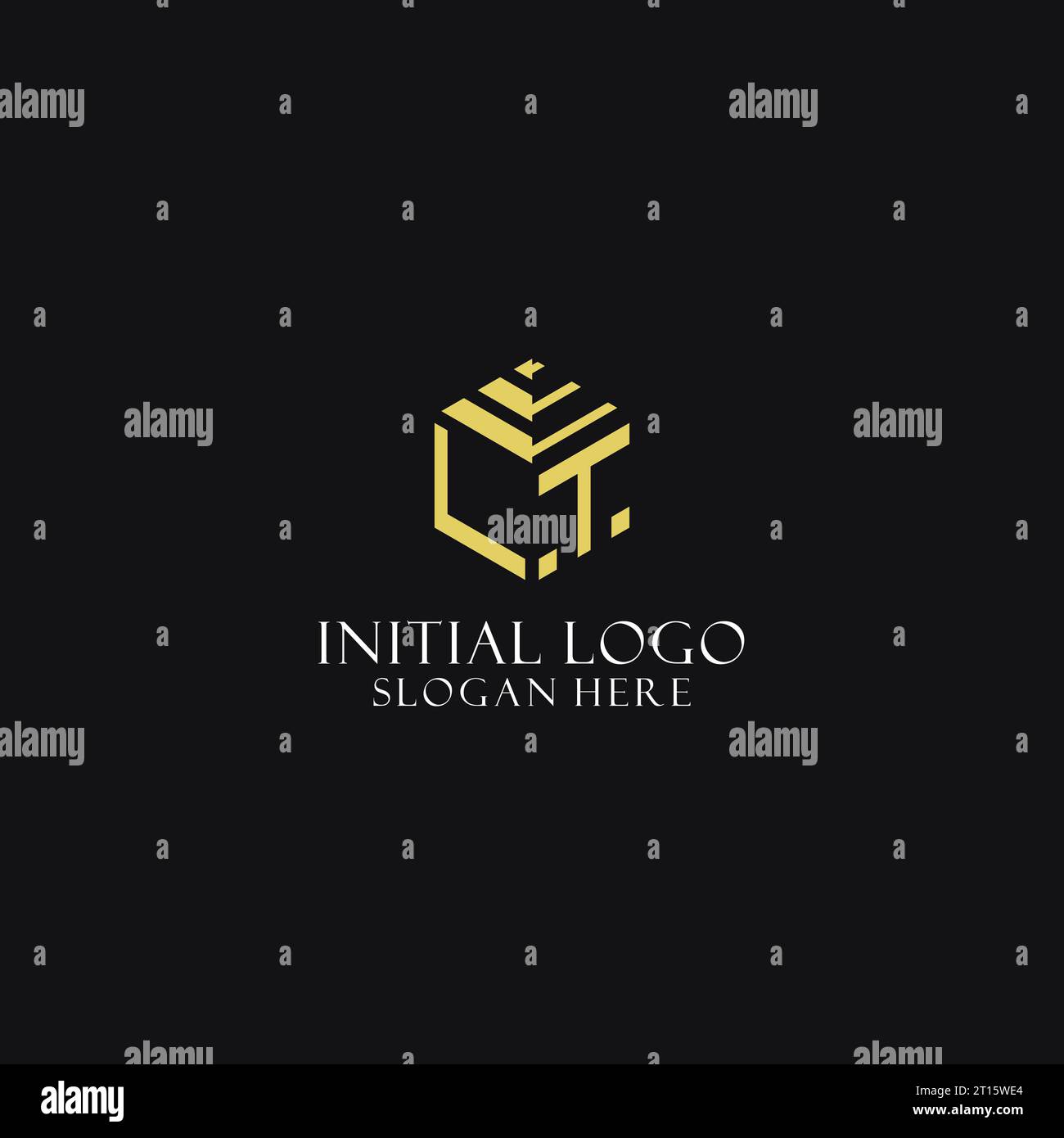 LT initial monogram with hexagon shape logo, creative geometric logo ...