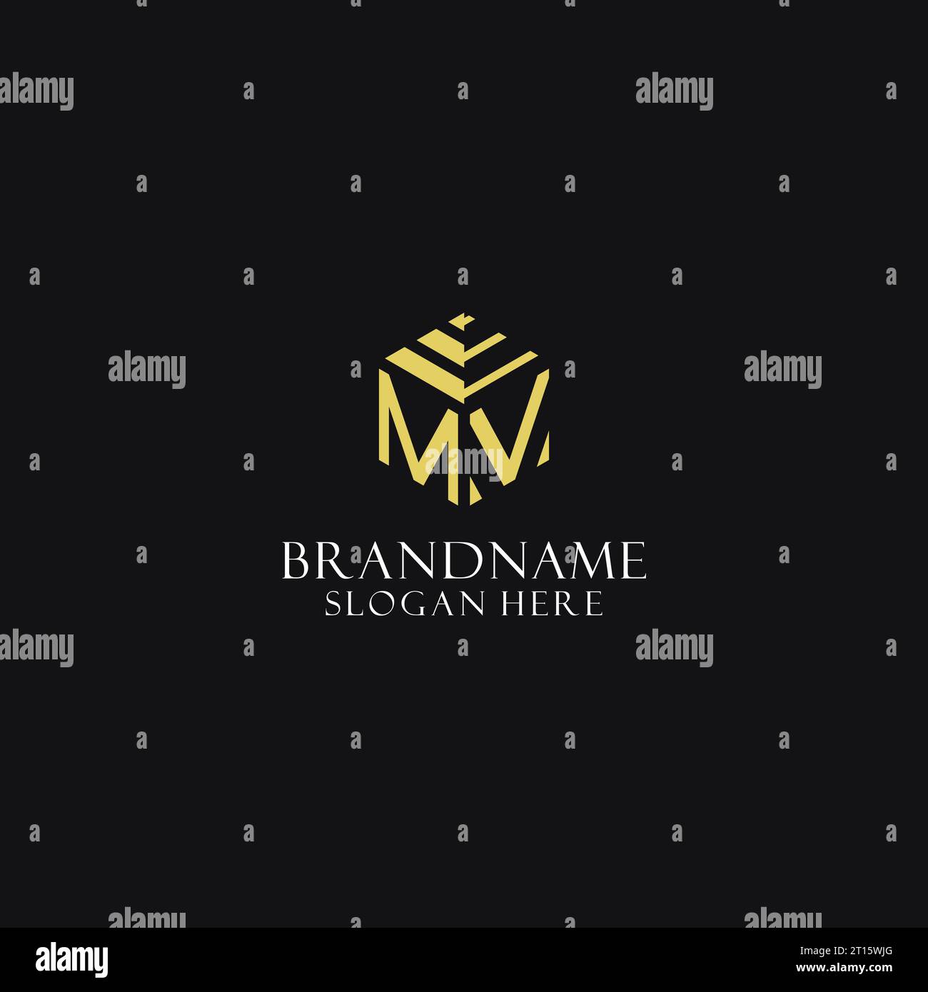 MV initial monogram with hexagon shape logo, creative geometric logo ...
