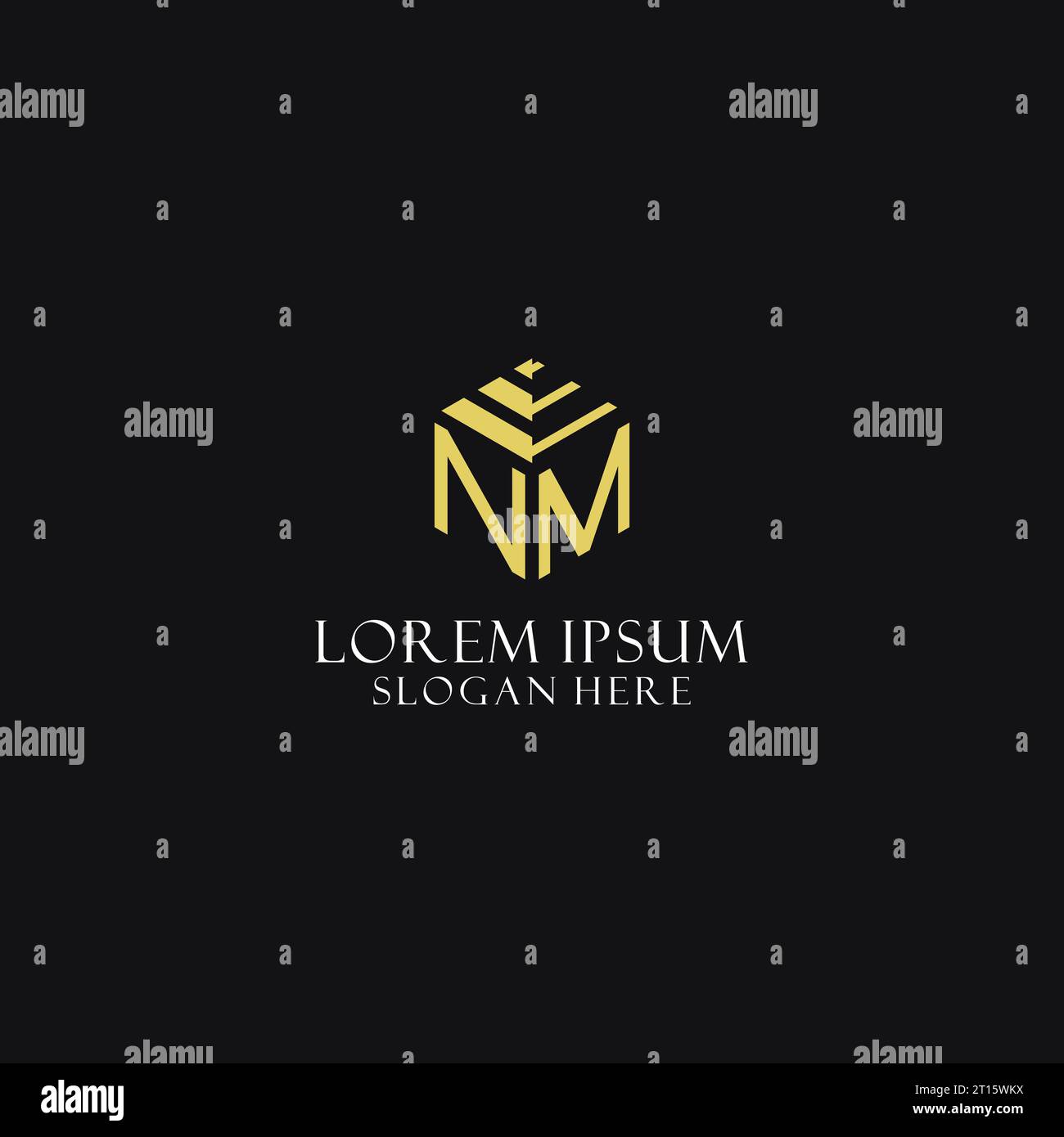 NM initial monogram with hexagon shape logo, creative geometric logo ...