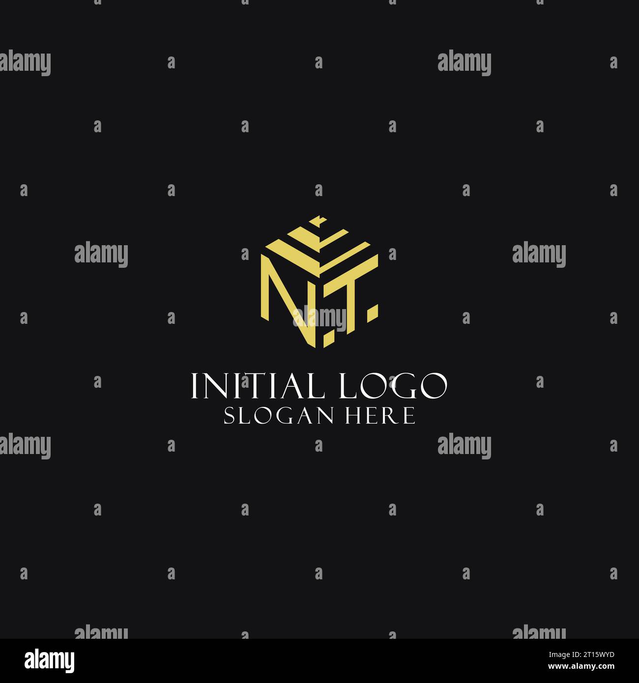 NT initial monogram with hexagon shape logo, creative geometric logo ...