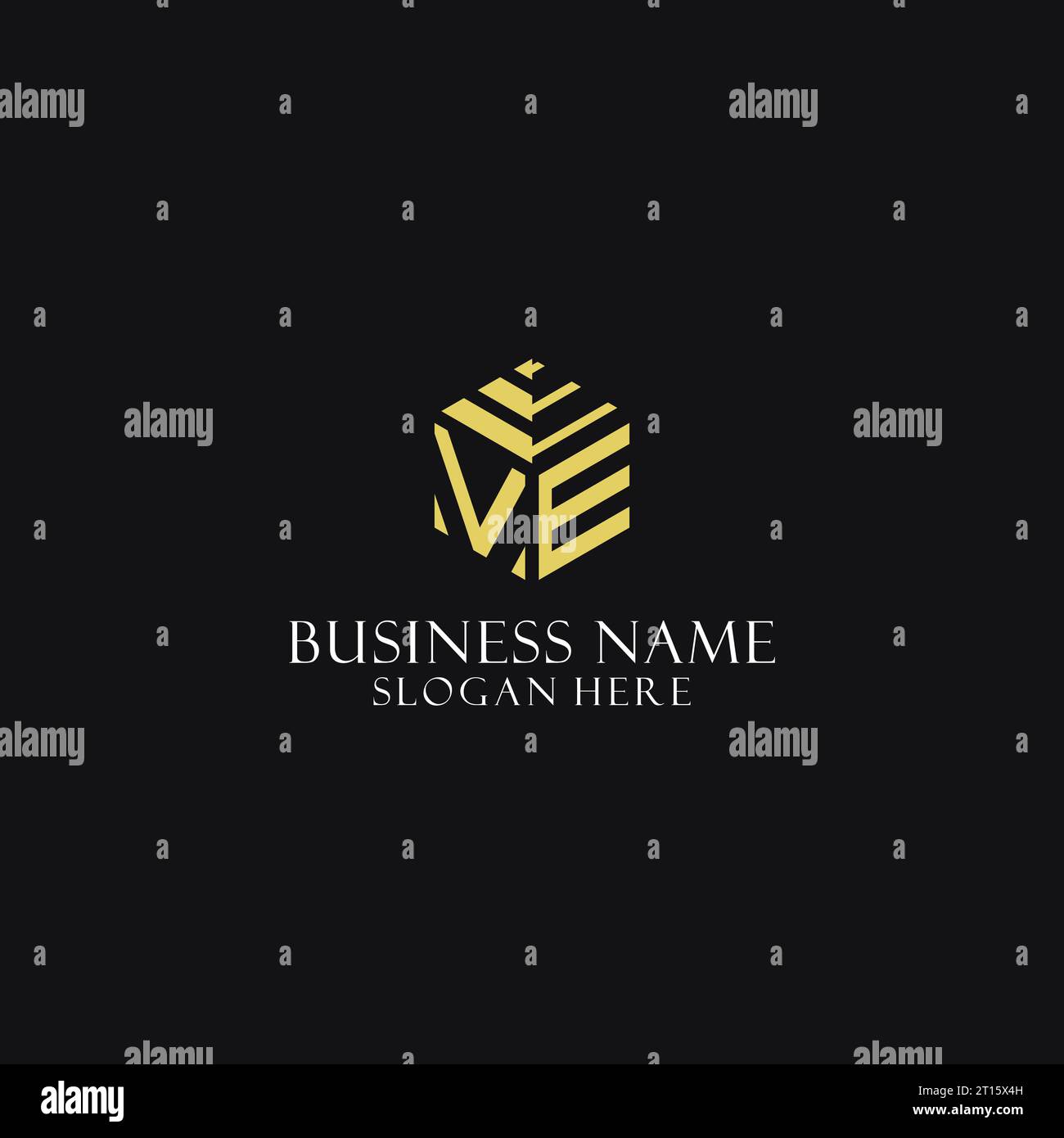 VE initial monogram with hexagon shape logo, creative geometric logo ...