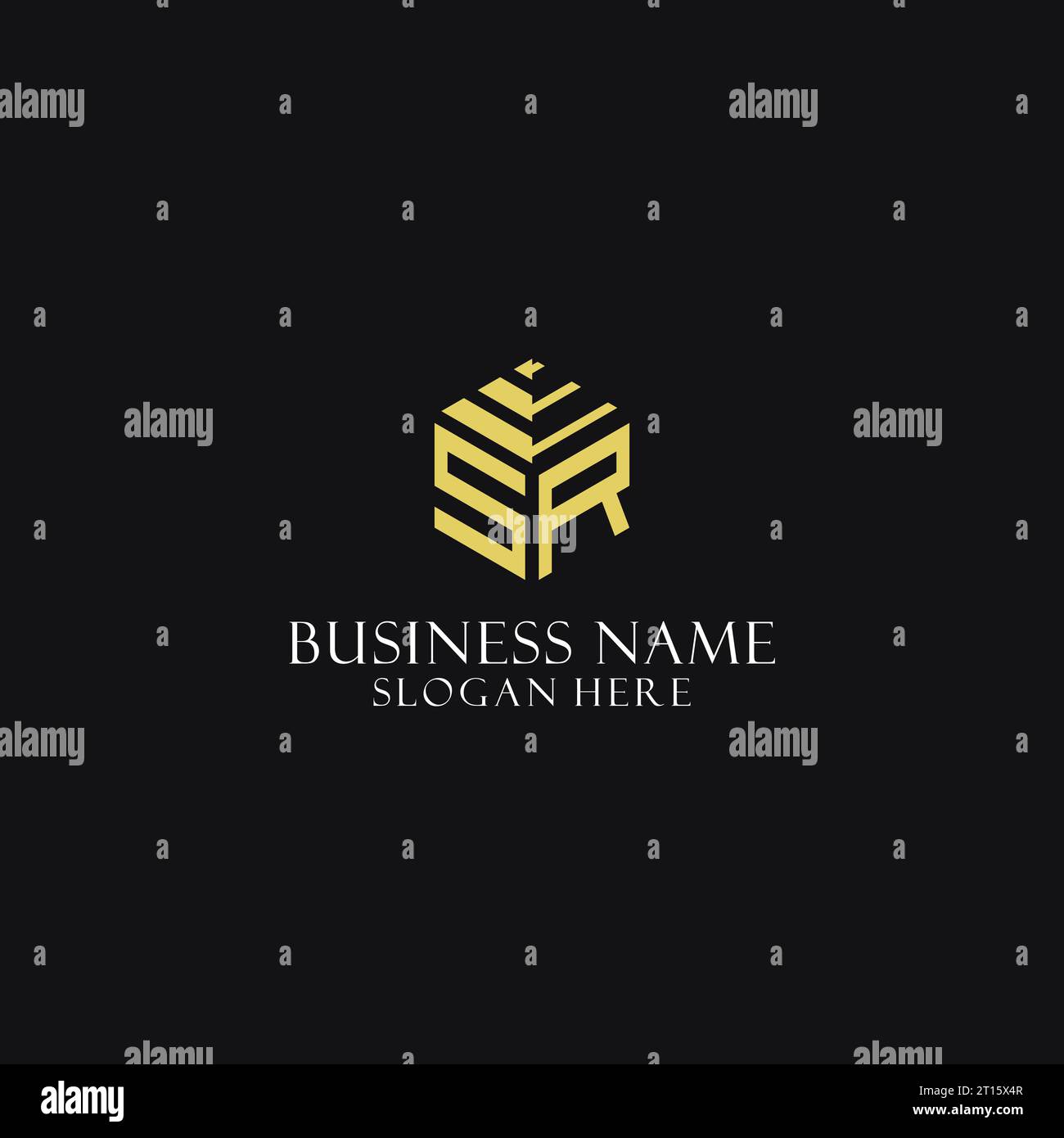 SR initial monogram with hexagon shape logo, creative geometric logo ...