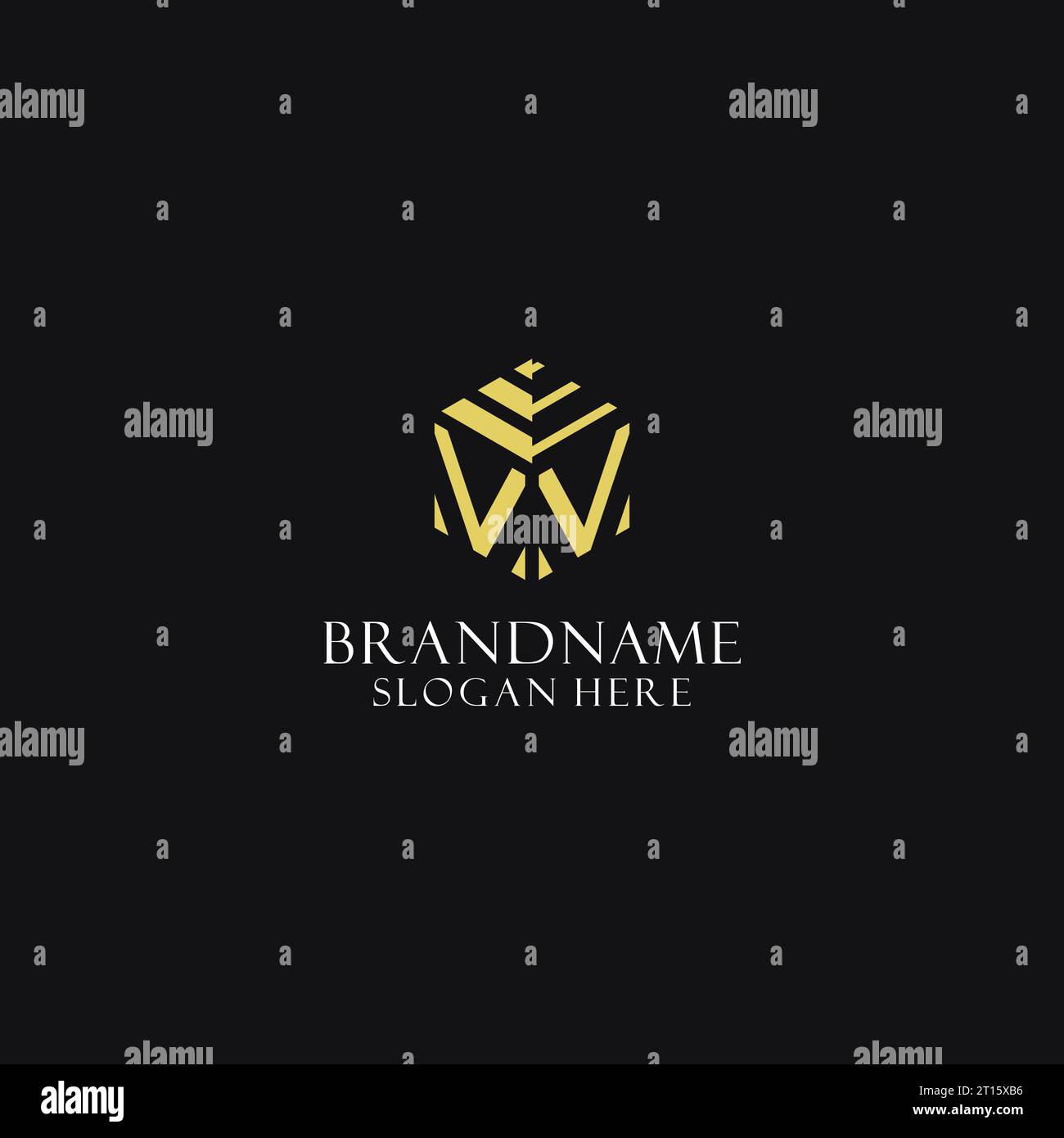 VV initial monogram with hexagon shape logo, creative geometric logo ...