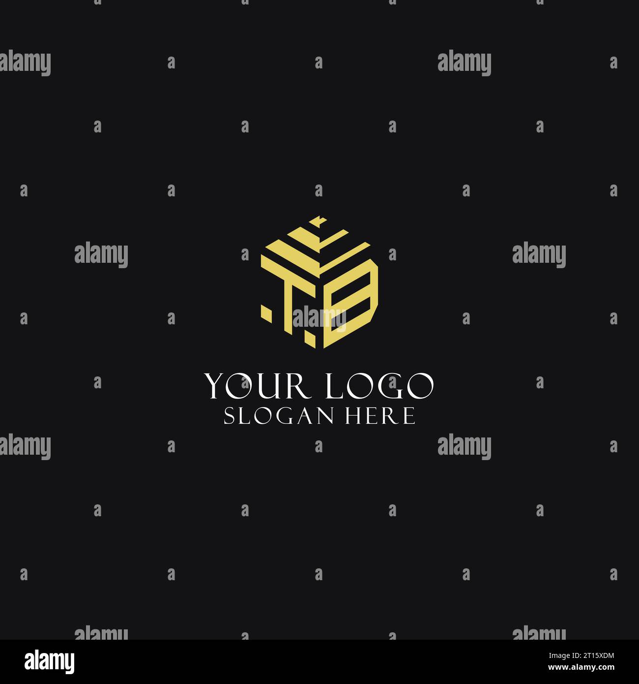 TB initial monogram with hexagon shape logo, creative geometric logo ...