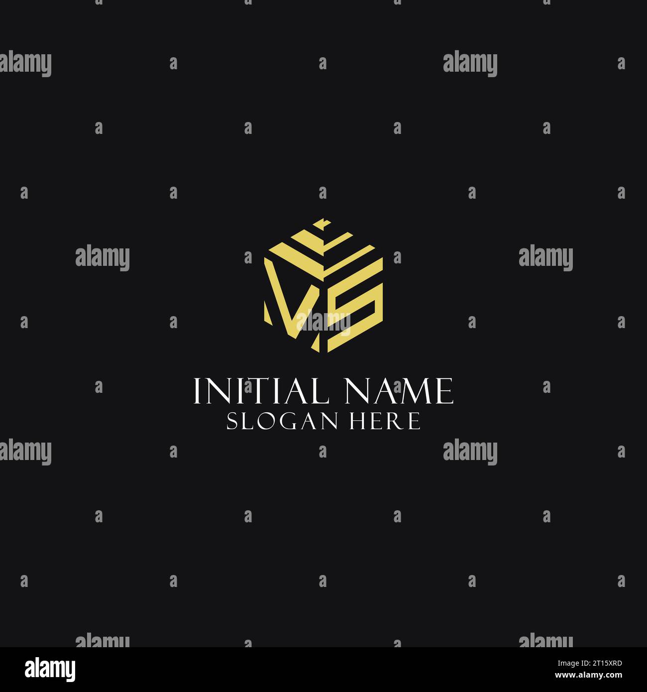 VS initial monogram with hexagon shape logo, creative geometric logo ...