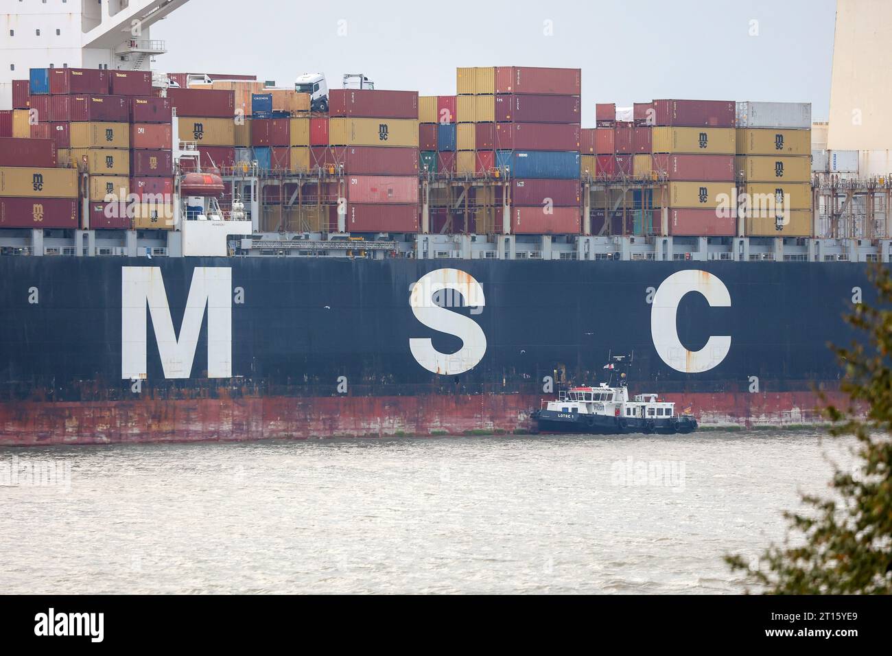 Hamburg, Germany. 11th Oct, 2023. The container ship "MSC Regulus" is ...