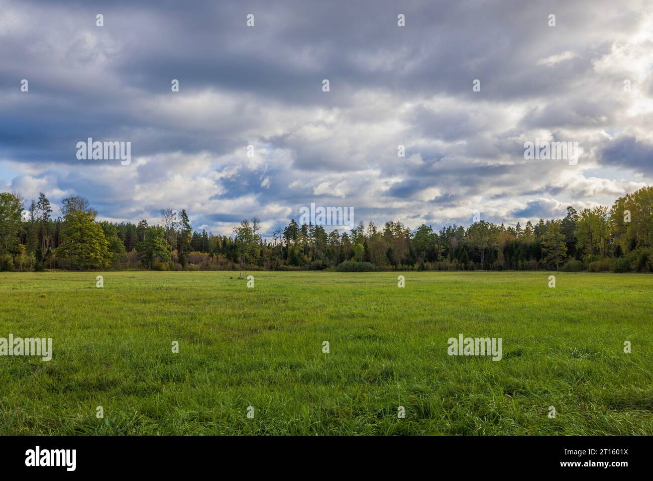 Contras tic nature hi-res stock photography and images - Alamy