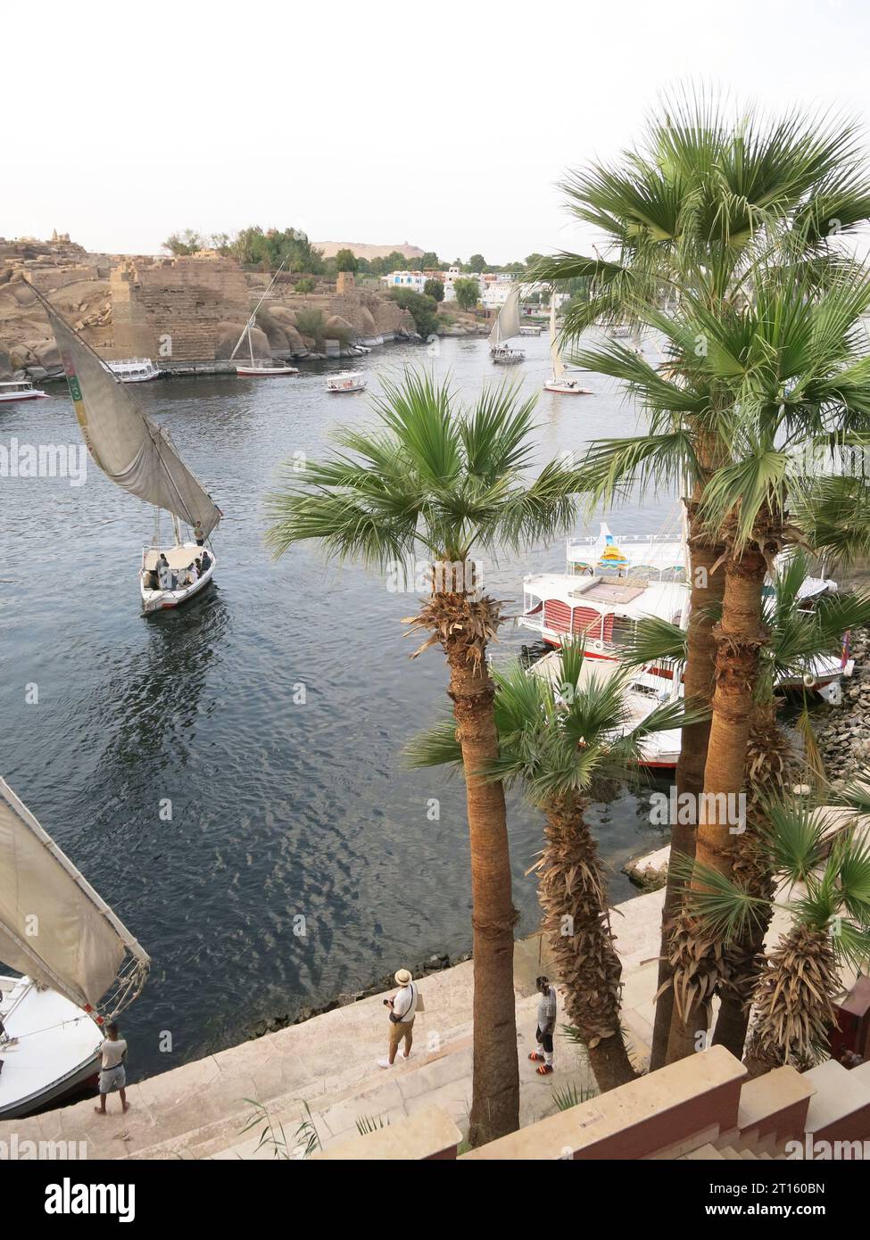 Classic view of the River Nile at Aswan with palm trees, feluccas ...