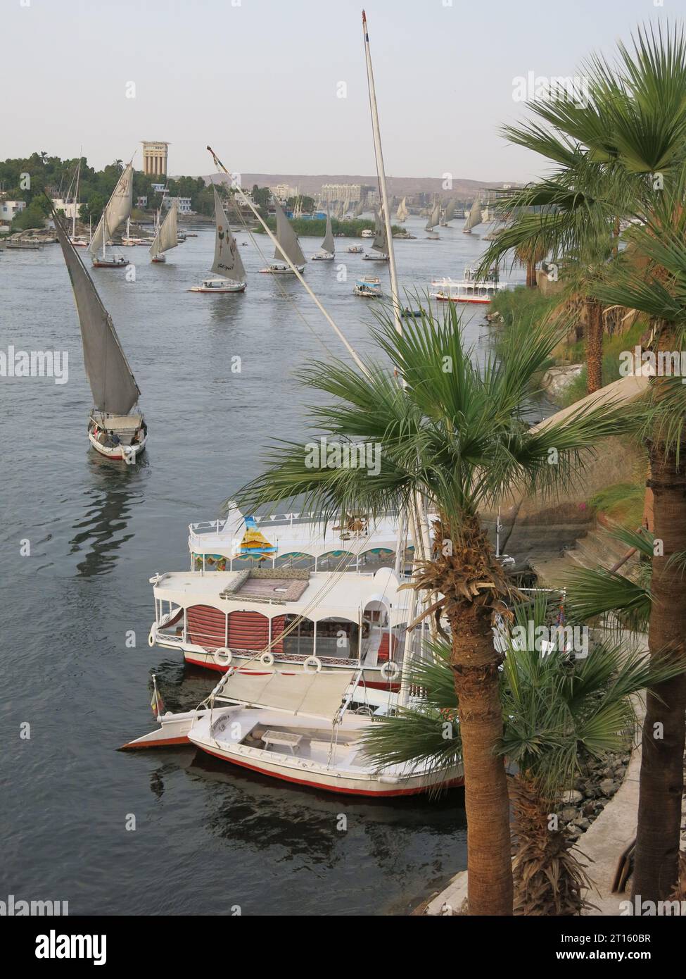 Classic view of the River Nile at Aswan with palm trees, feluccas ...