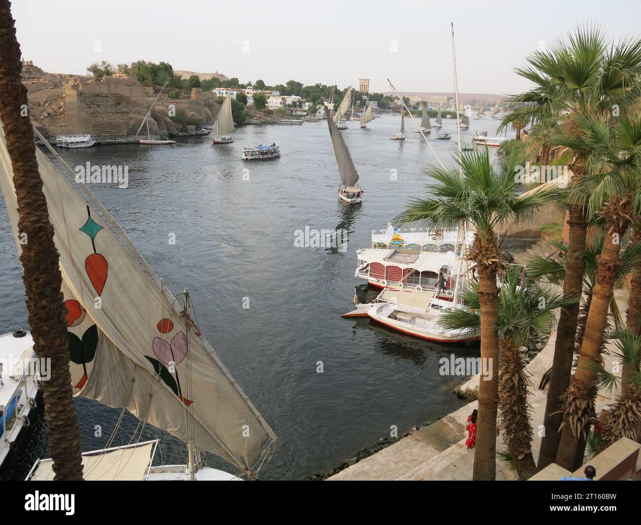 Classic view of the River Nile at Aswan with palm trees, feluccas ...