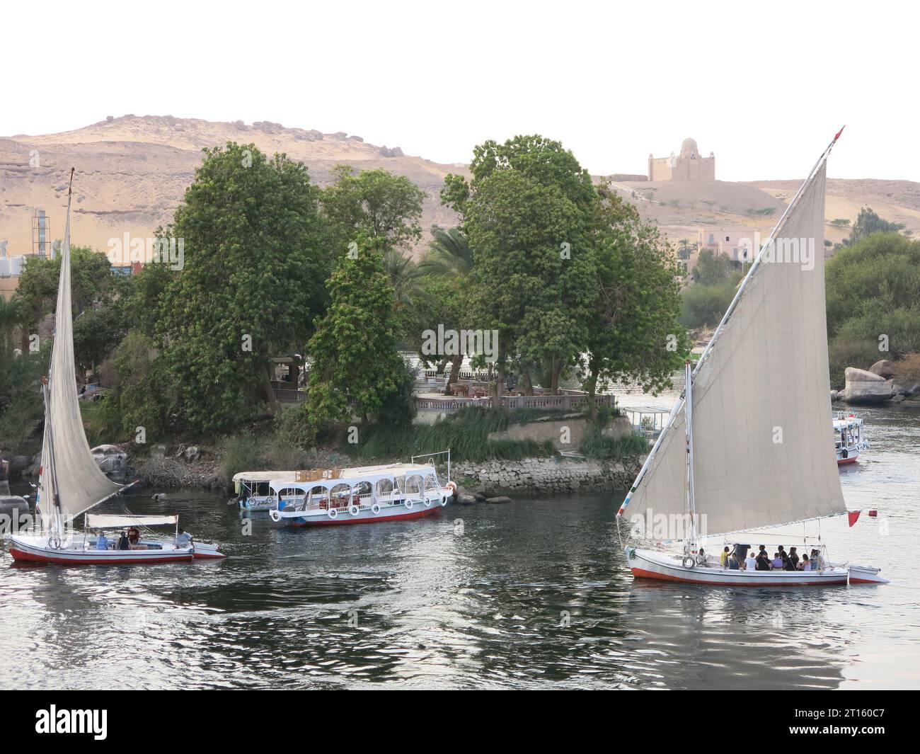 Classic view of the River Nile at Aswan with palm trees, feluccas ...