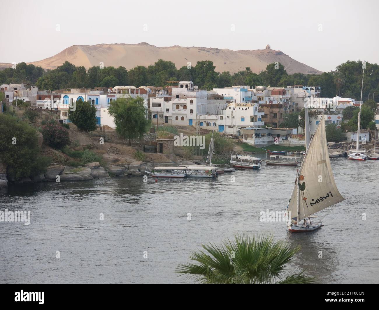 Classic view of the River Nile at Aswan with palm trees, feluccas ...