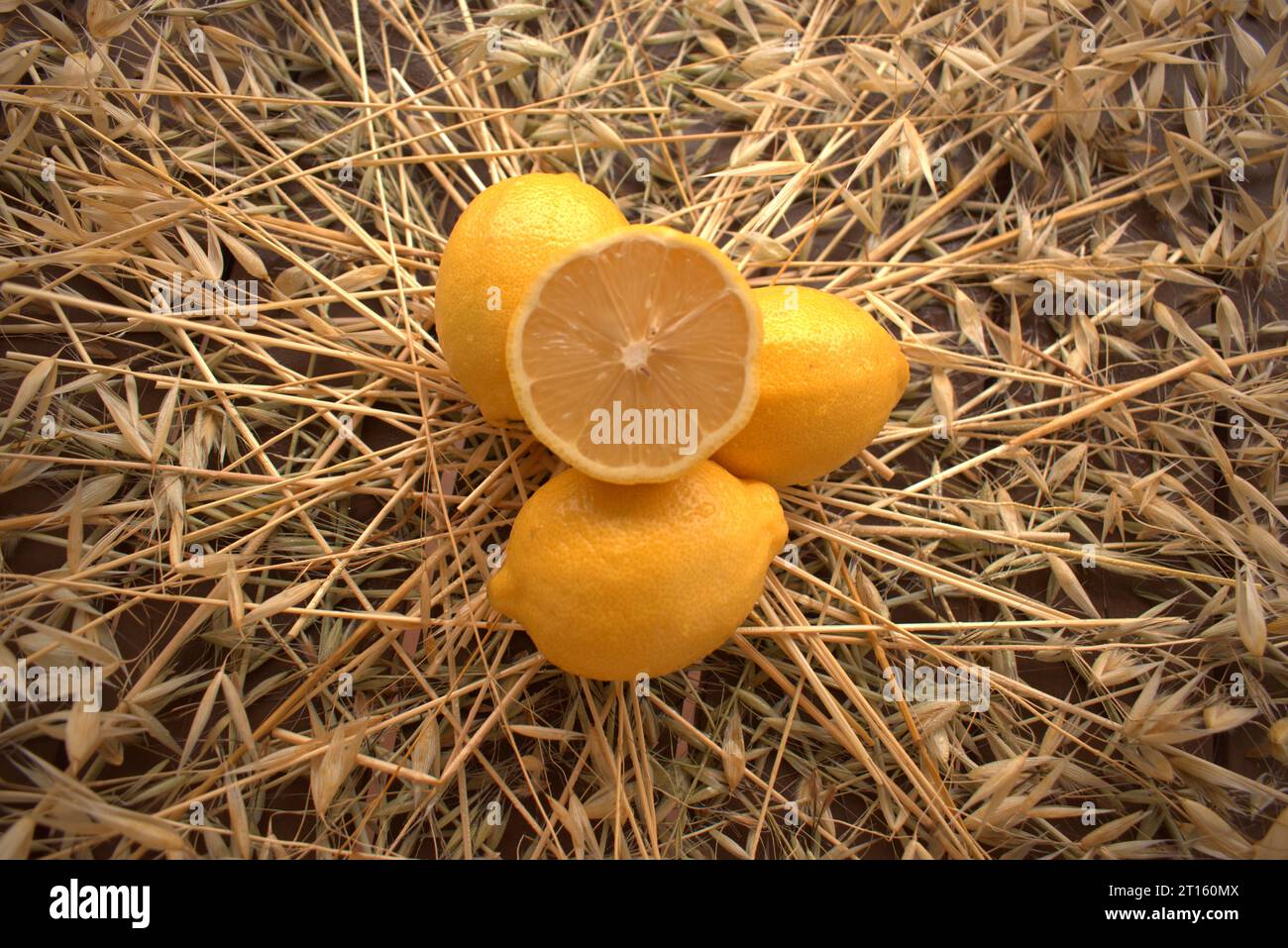 Tint lemons hi-res stock photography and images - Alamy