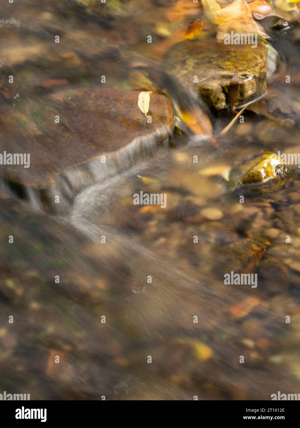 The River Onny at Craven Arms, Shropshire, UK Stock Photo - Alamy