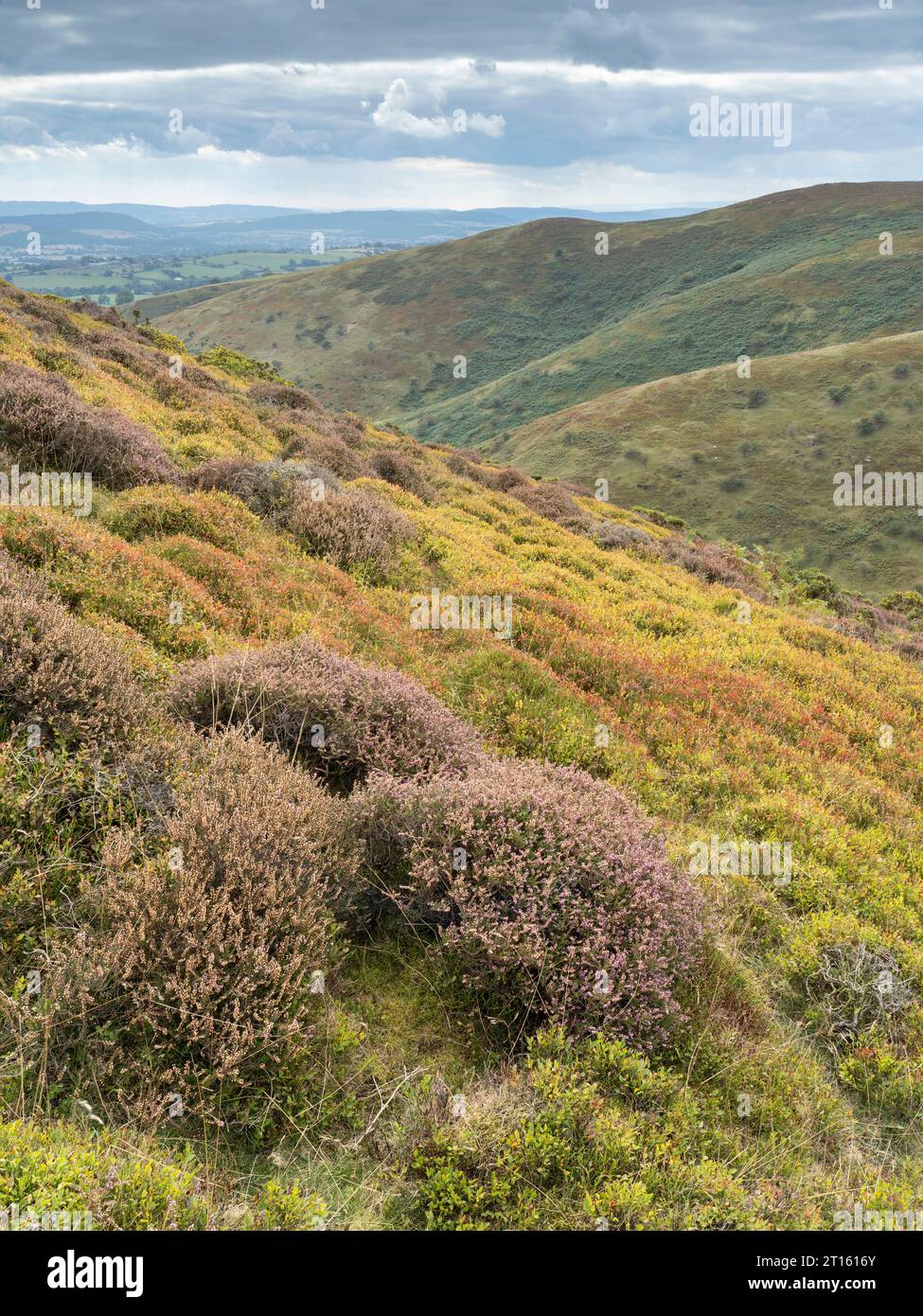 Interlocking spurs in shropshire hi-res stock photography and images ...
