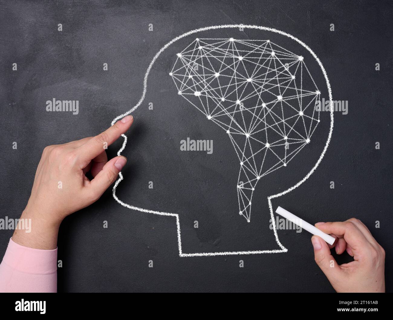 A woman's hand draws a silhouette of the head and connections inside ...