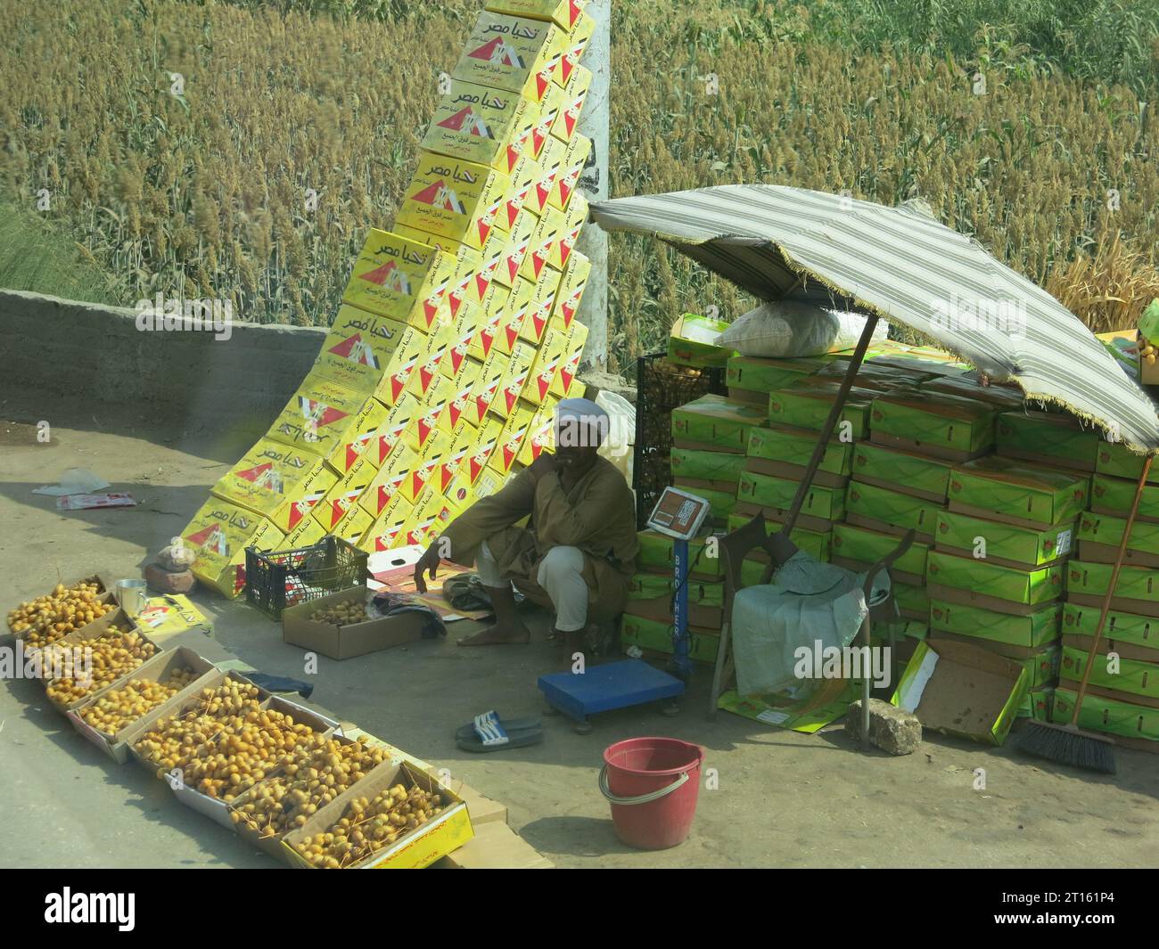 An Egyptian street vendor sells boxes of yellow dates with an ...