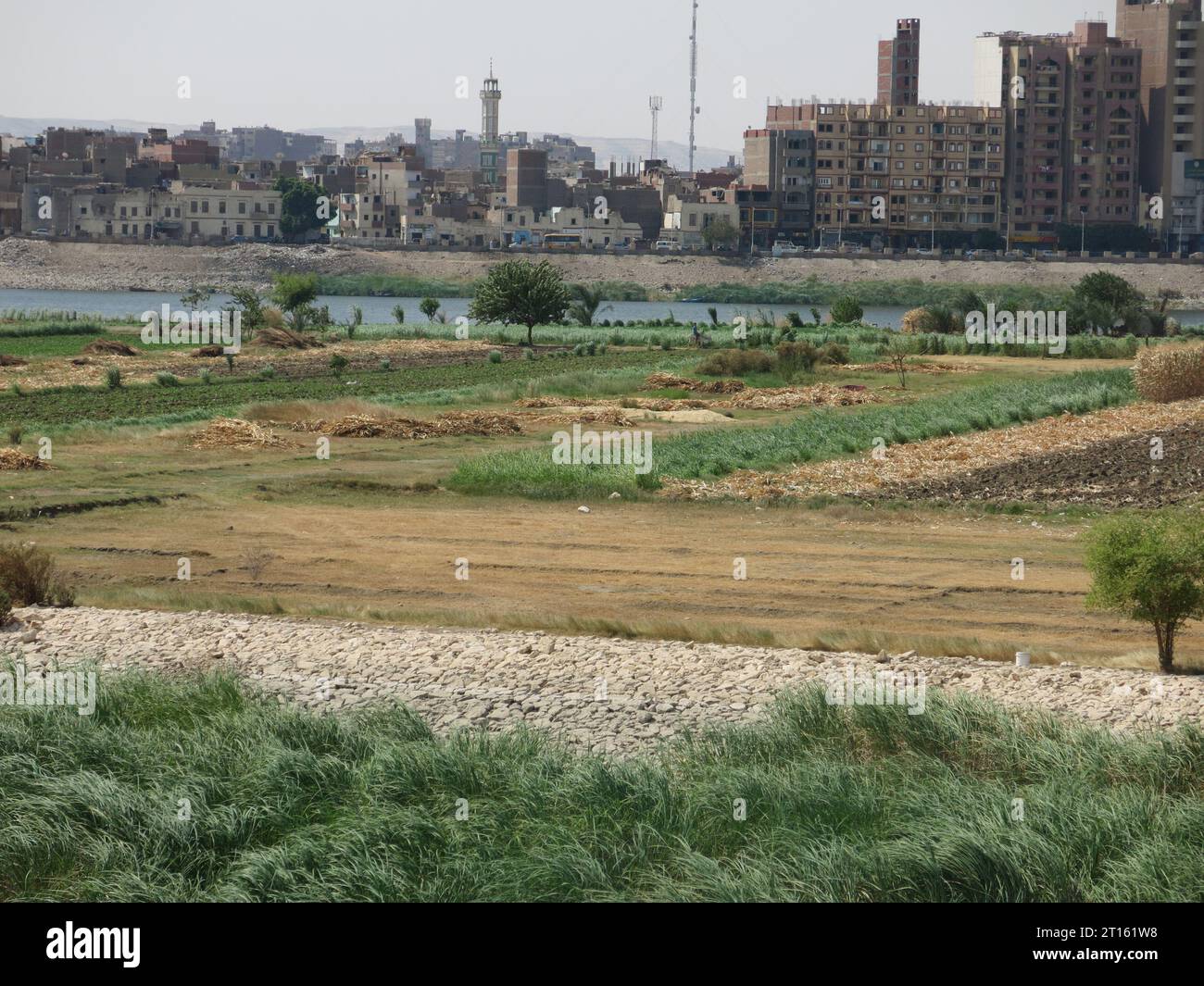 Ancient egyptian farming hi-res stock photography and images - Alamy
