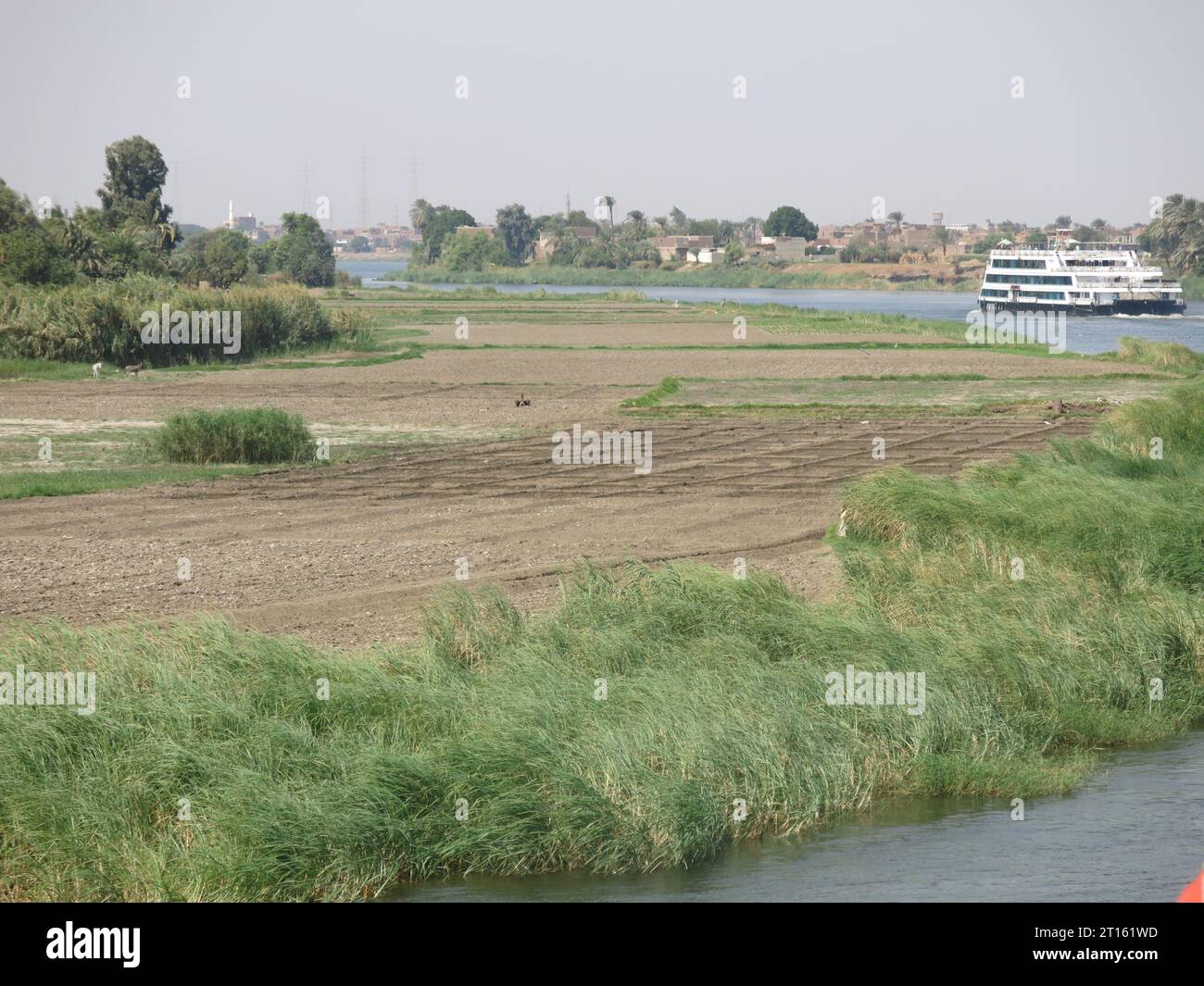 A cruise ship sails north on the River Nile amidst agricultural scenes ...