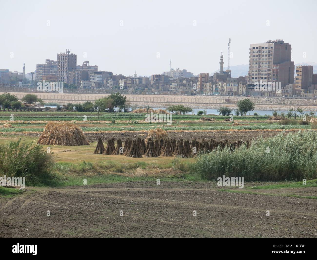 Ancient egyptian farming hi-res stock photography and images - Alamy