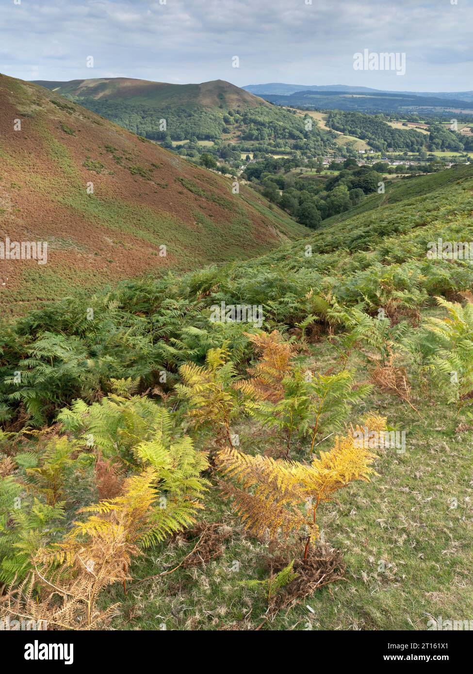 Church Stretton and The Shropshire Hills viewed from above Little ...
