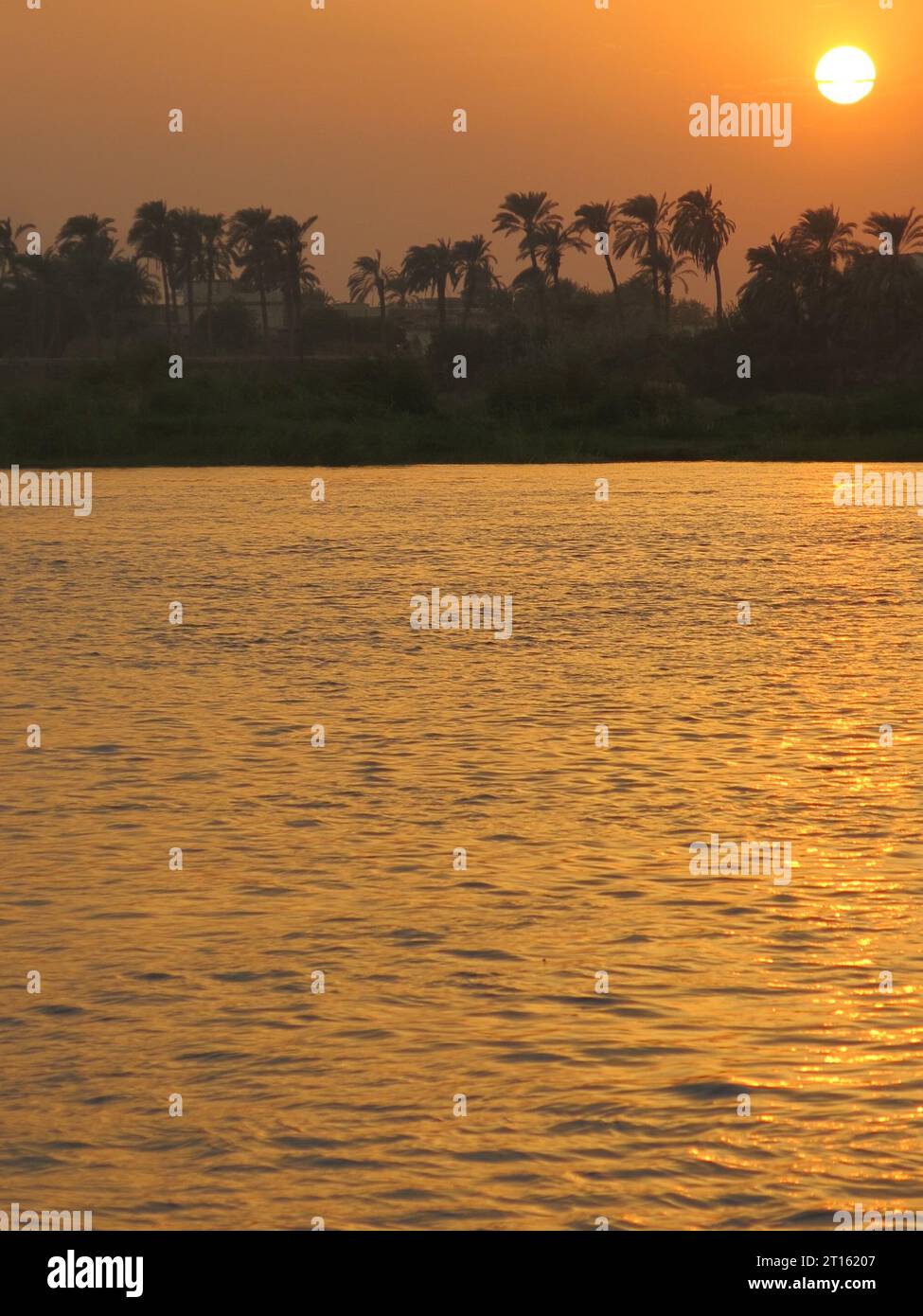 Palm trees silhouetted on the banks of The Nile, as a striking sunset ...