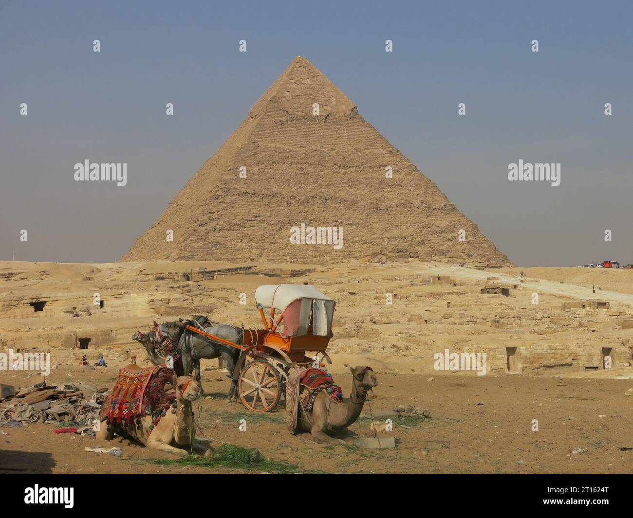 Classic image of Ancient Egypt: two kneeling camels and a horse & cart ...