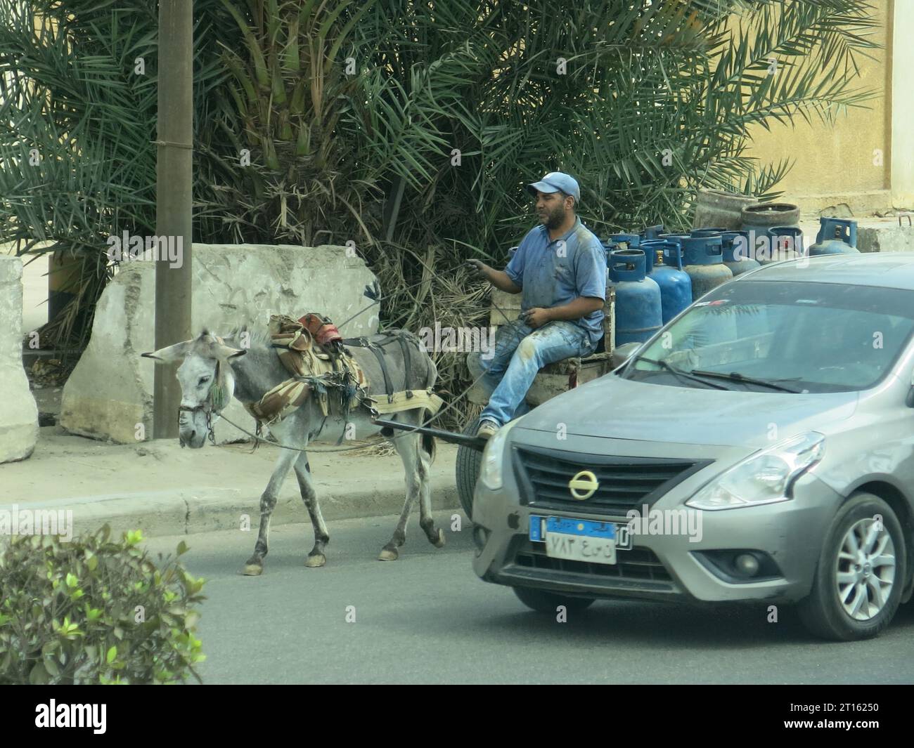 Traditional modes of transport on Cairo's roads: a car overtakes an ...