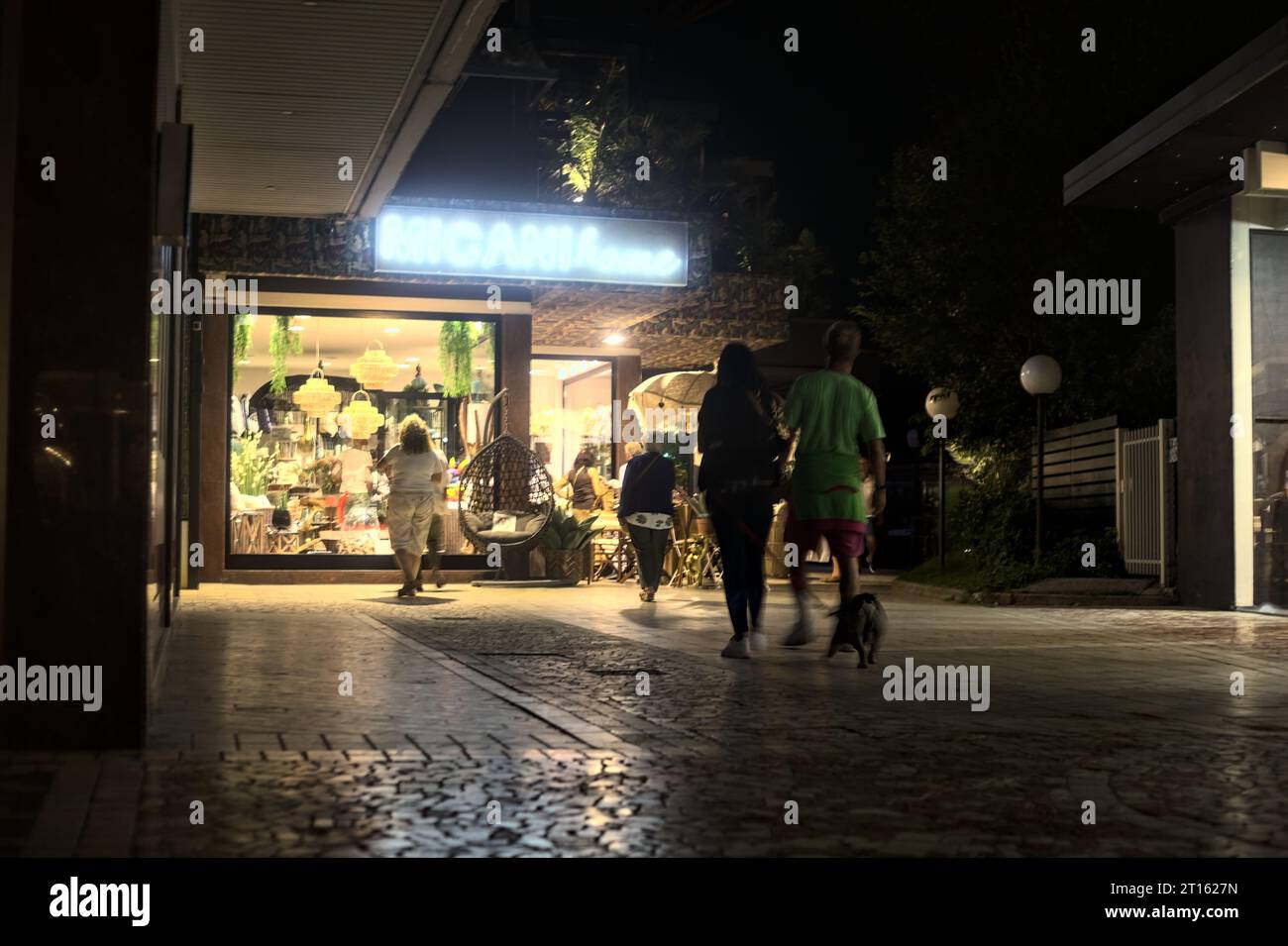 Boulevard bordered by shop windows and trees full of people walking in ...