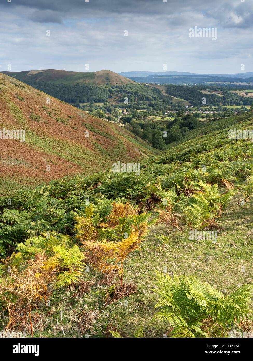 Church Stretton and The Shropshire Hills viewed from above Little ...