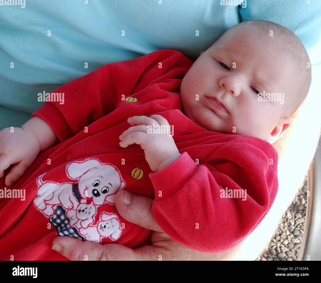 10 monate alt hi-res stock photography and images - Alamy