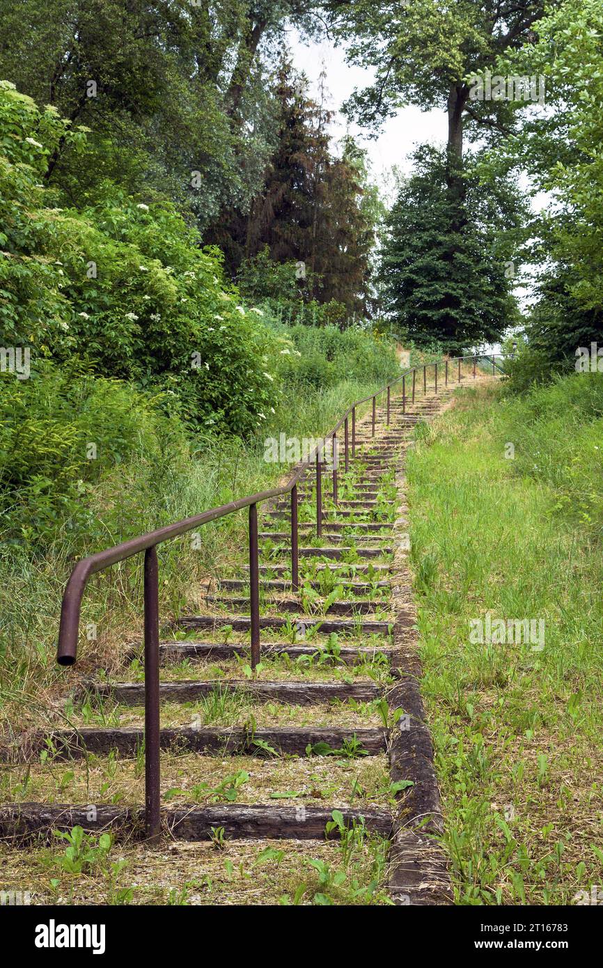 Overgrown stairs with a metal handrail Stock Photo - Alamy