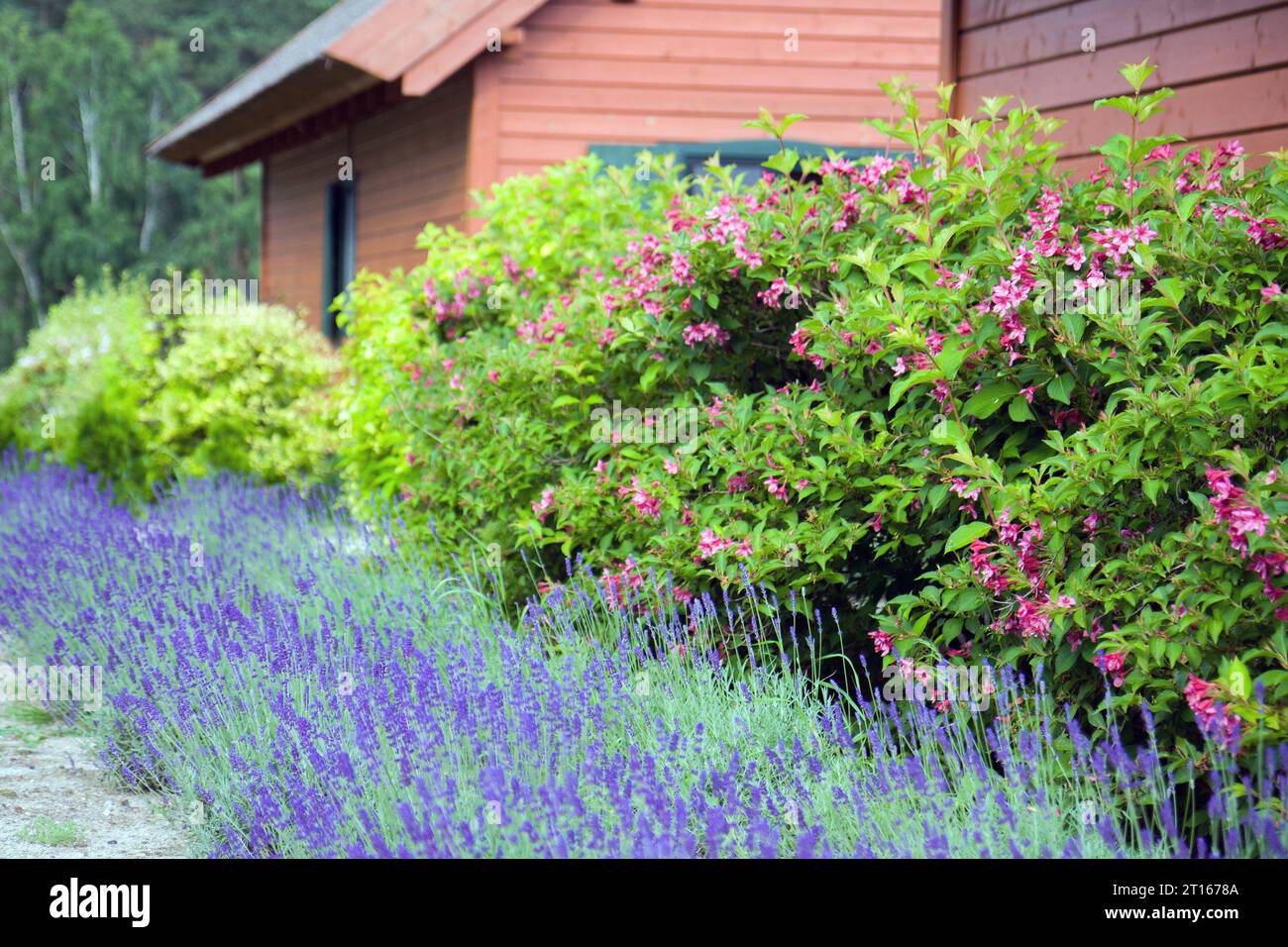 Flowery farmyard hi-res stock photography and images - Alamy