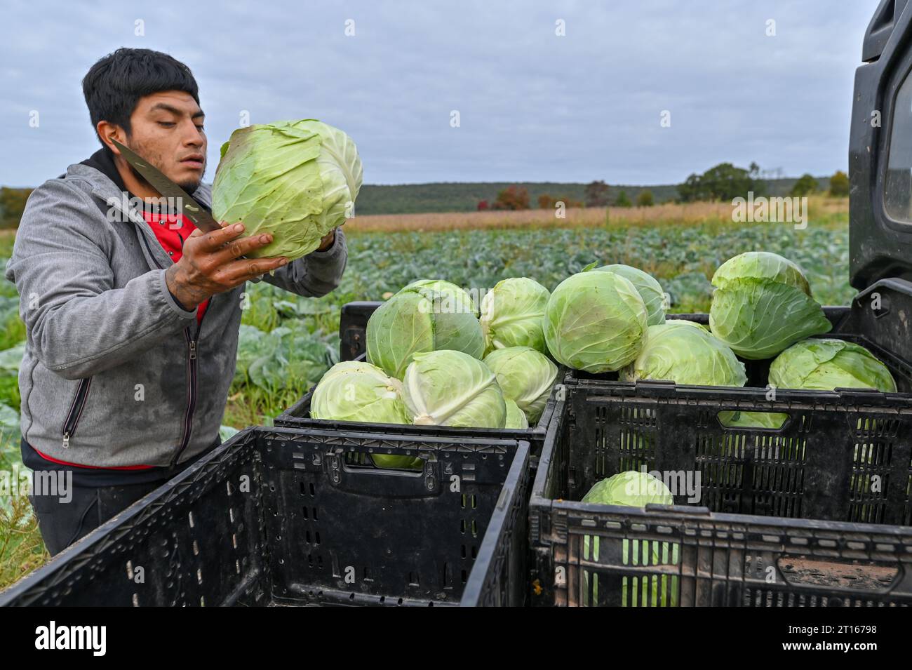 Danny gomez hi-res stock photography and images - Alamy