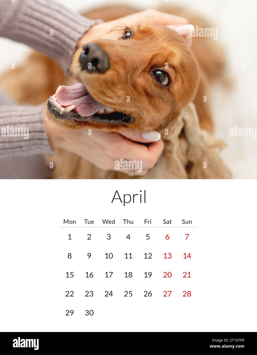 April 2024 year Photo calendar with cute dogs. Annual daily planner ...