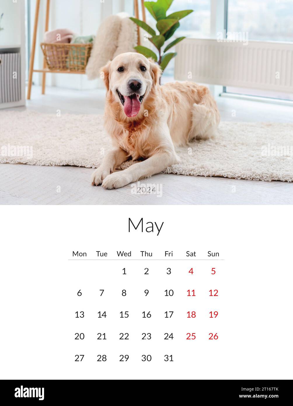 May 2024 year Photo calendar with cute dogs. Annual daily planner ...