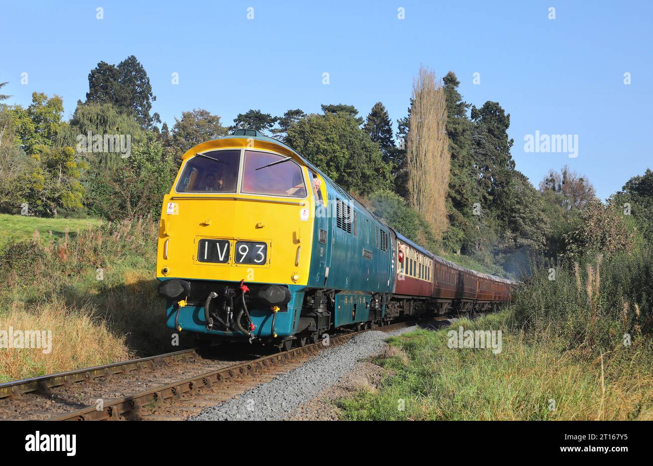 D1062 hi-res stock photography and images - Alamy