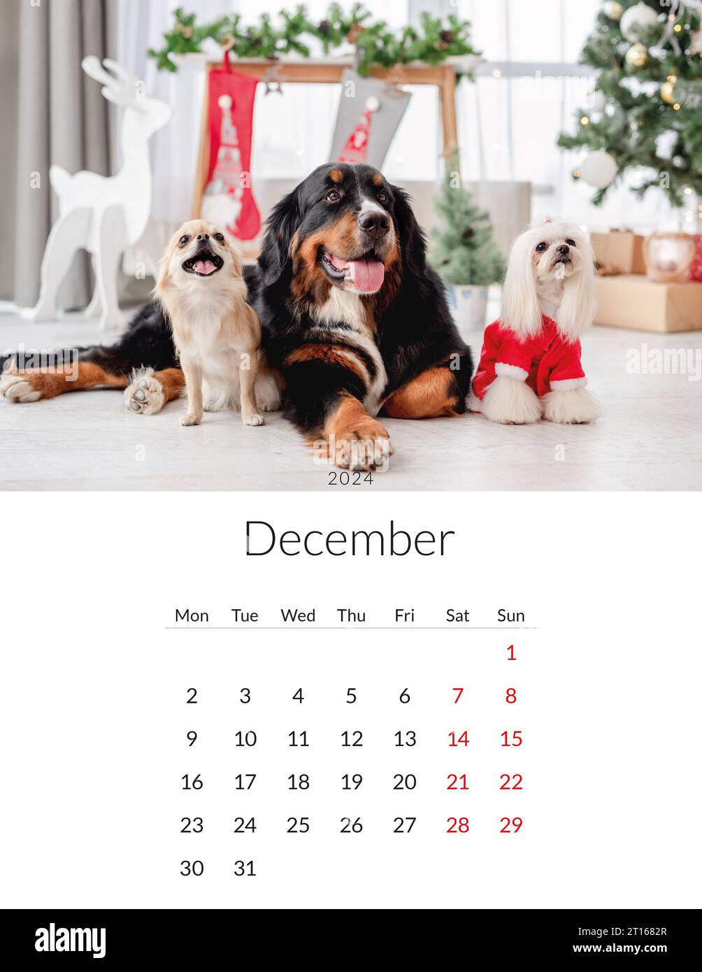 December 2024 year Photo calendar with cute dogs. Annual daily planner ...