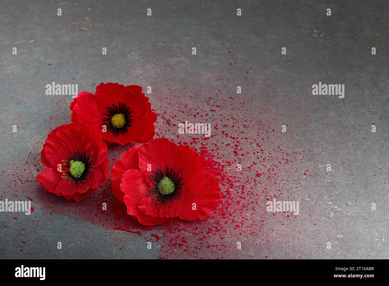 World War remembrance day. Red poppies on dark stone background Stock ...
