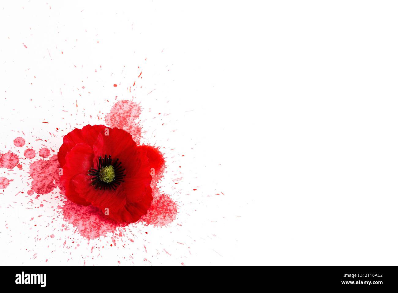 Remembrance Day. Background with abstract poppy - remembrance day ...