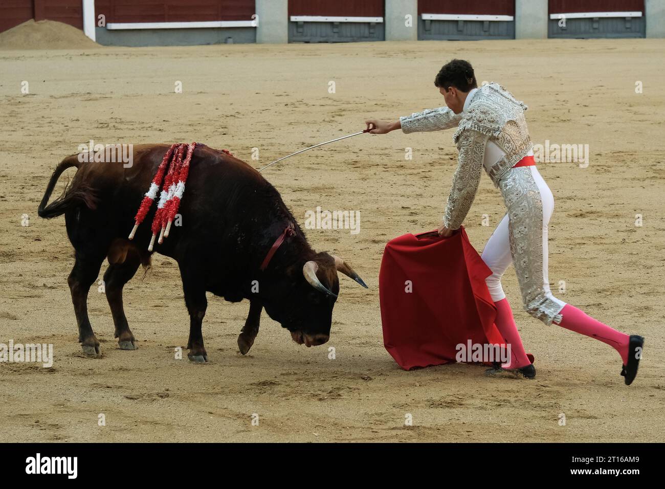 Traditional spanish matador bullfighter hi-res stock photography and ...