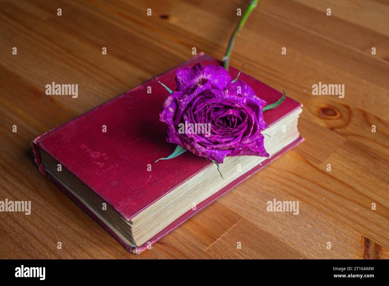 Rose book cover hi-res stock photography and images - Alamy