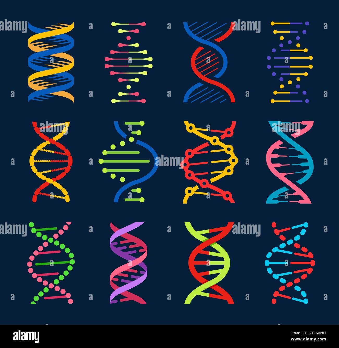 DNA vector helices of human gene molecules. Genetics and biology science, medicine technologies ...