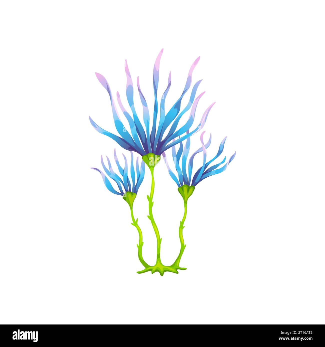 Cartoon underwater strap kelp seaweed plant. Aquarium and sea algae ...
